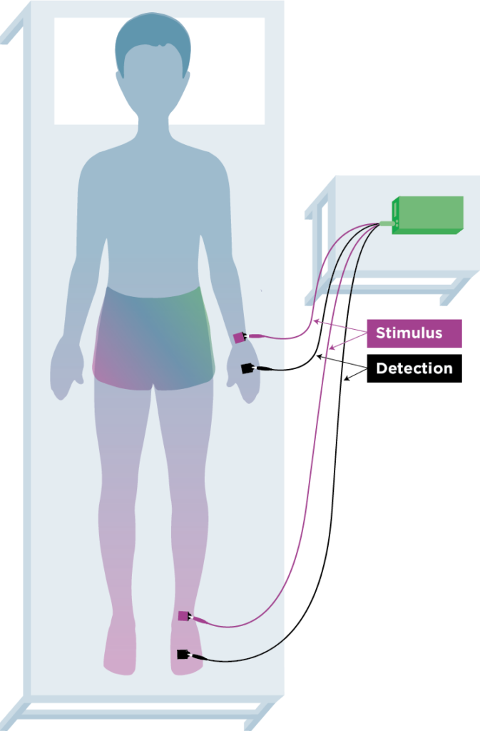 Assessing Adiposity - A Guide to Methods for Assessing Childhood Obesity