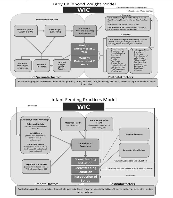 WIC Infant and Toddler Feeding Practices Study–II | NCCOR Registry of ...